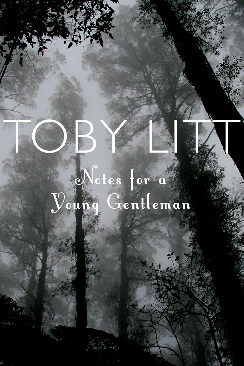Notes for a Young Gentleman by Toby Litt | Goodreads
