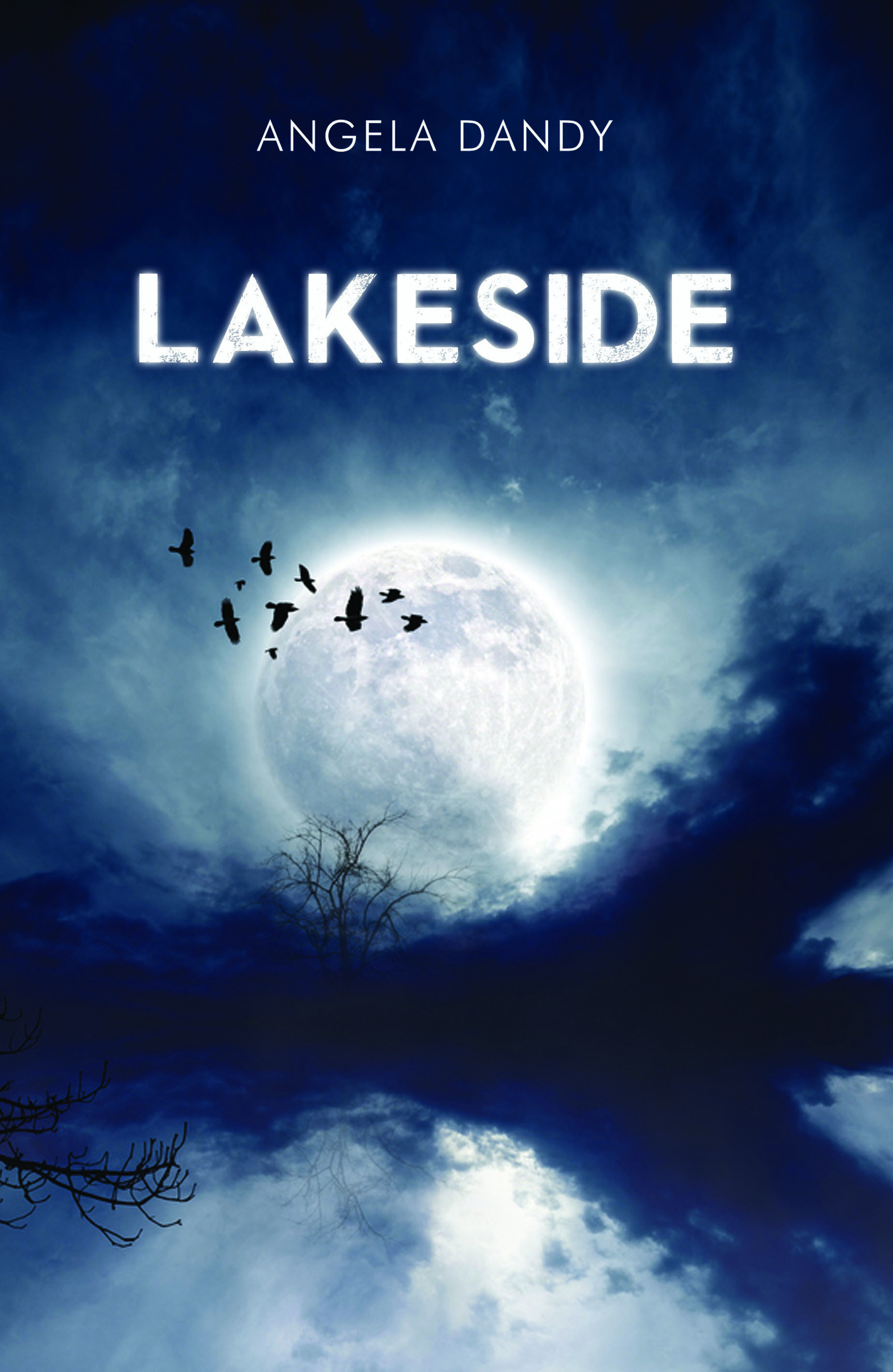 Lakeside by Angela Dandy | Goodreads