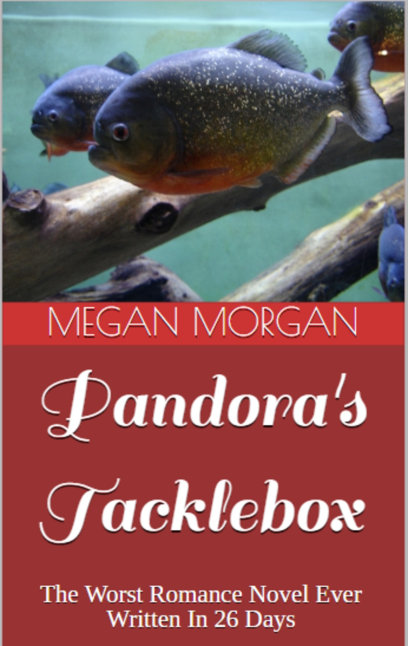 Pandora's Tacklebox: The Worst Romance Novel Ever Written In 26 Days by ...