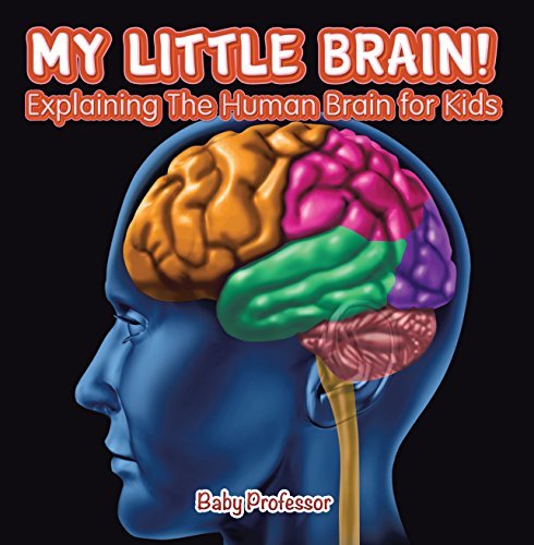 My Little Brain! - Explaining The Human Brain for Kids by Baby ...