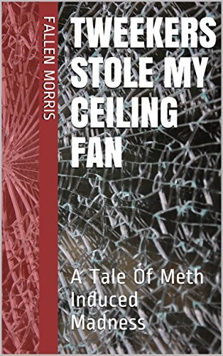 Tweekers Stole My Ceiling Fan: A Tale Of Meth Induced Madness by Fallen ...