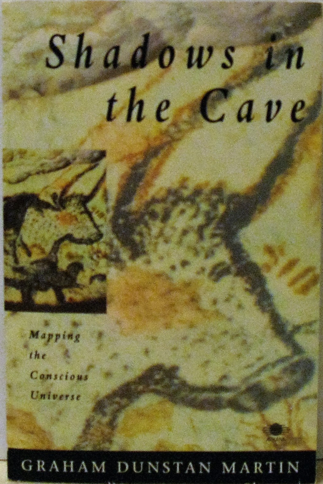 Shadows in the Cave: Mapping the Conscious Universe by Graham Dunstan ...