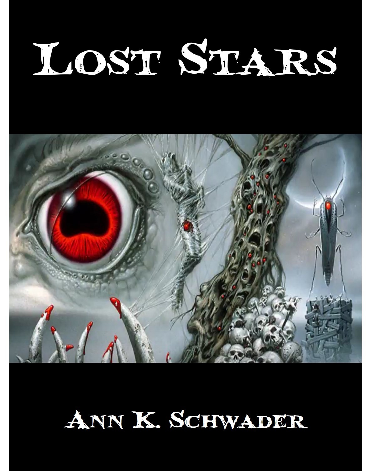 Lost Stars by Ann K. Schwader | Goodreads