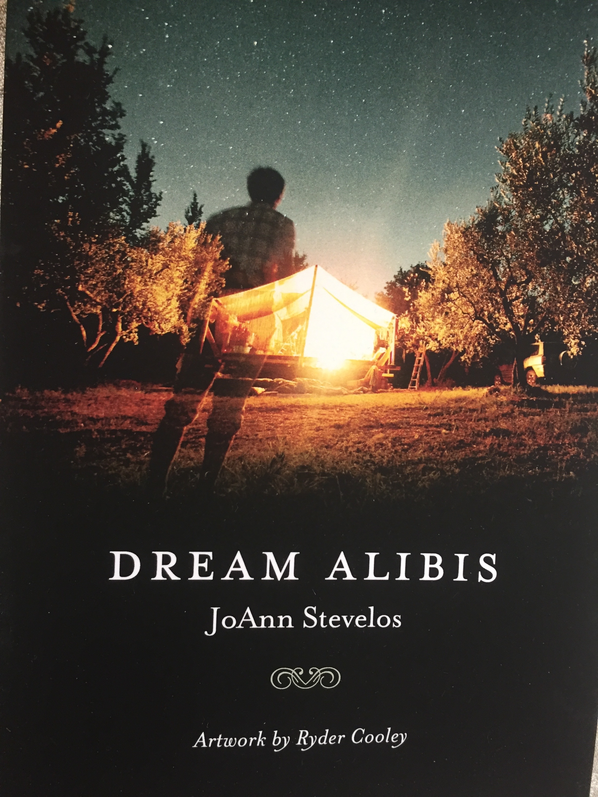 Dream Alibis by JoAnn Stevelos | Goodreads
