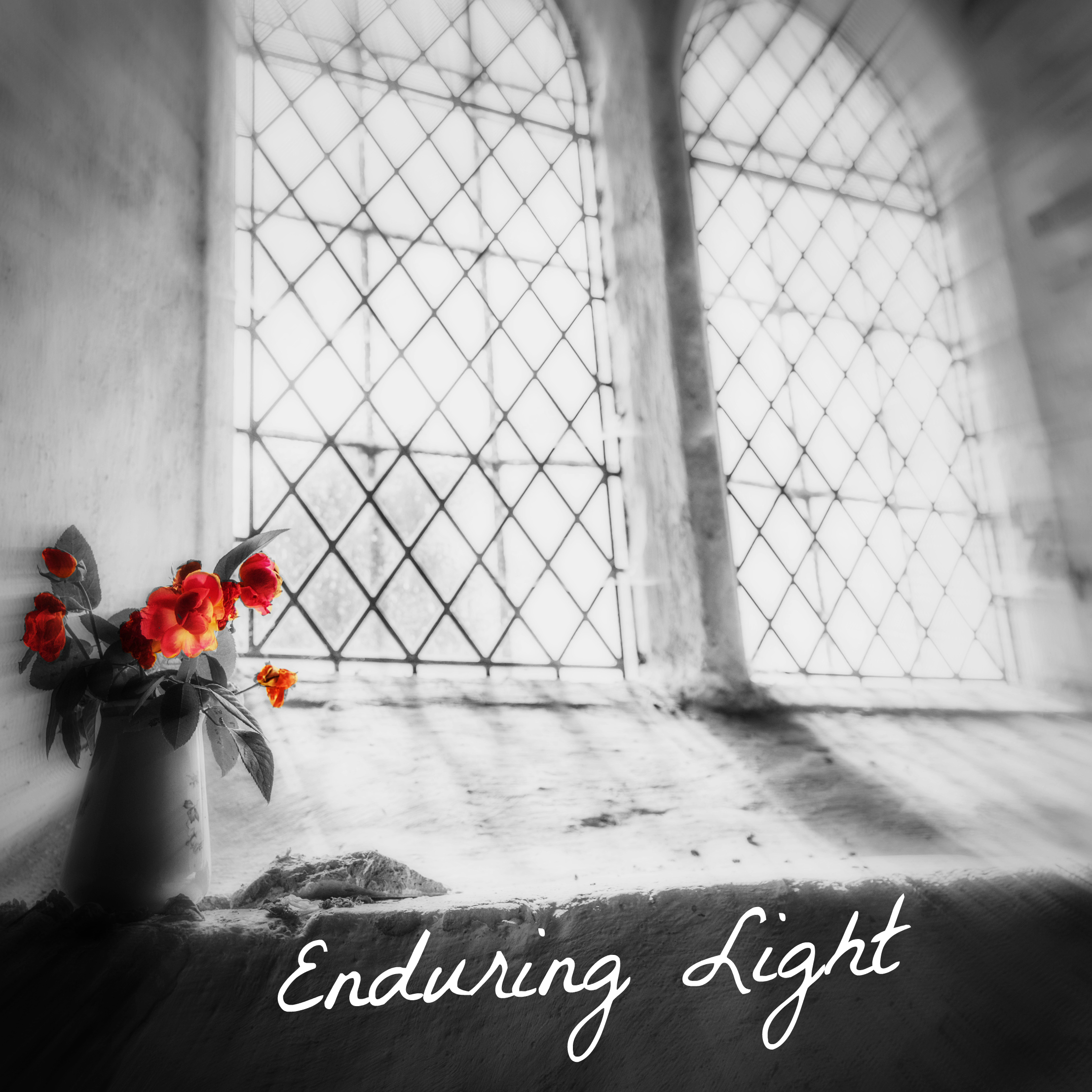 Enduring Light by Charlie Smith | Goodreads