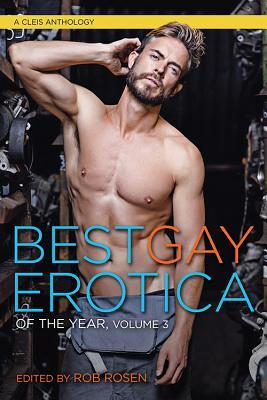 Best Gay Erotica of the Year, Volume 3 by Rob Rosen | Goodreads