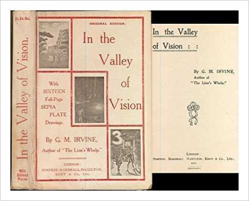 In The Valley of Vision by G.M. Irvine | Goodreads