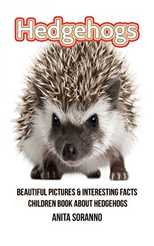 Hedgehogs: Beautiful Pictures & Interesting Facts Children Book about ...