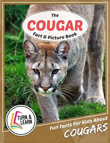 The Cougar Fact and Picture Book: Fun Facts for Kids About Cougars by ...