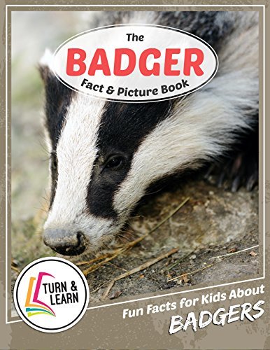 The Badger Fact and Picture Book: Fun Facts for Kids About Badgers by ...