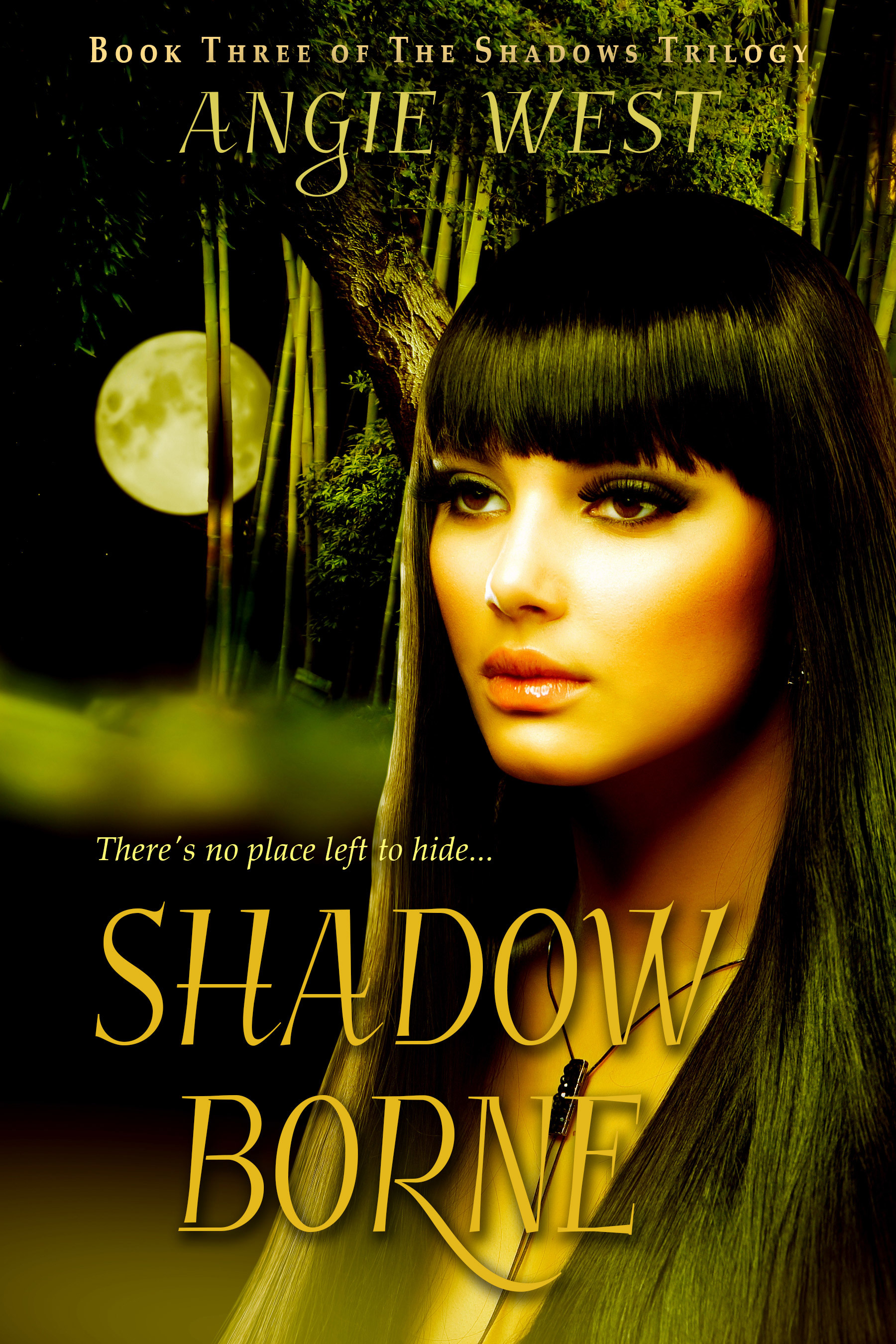 Shadow Borne (Shadows #3) by Angie West | Goodreads