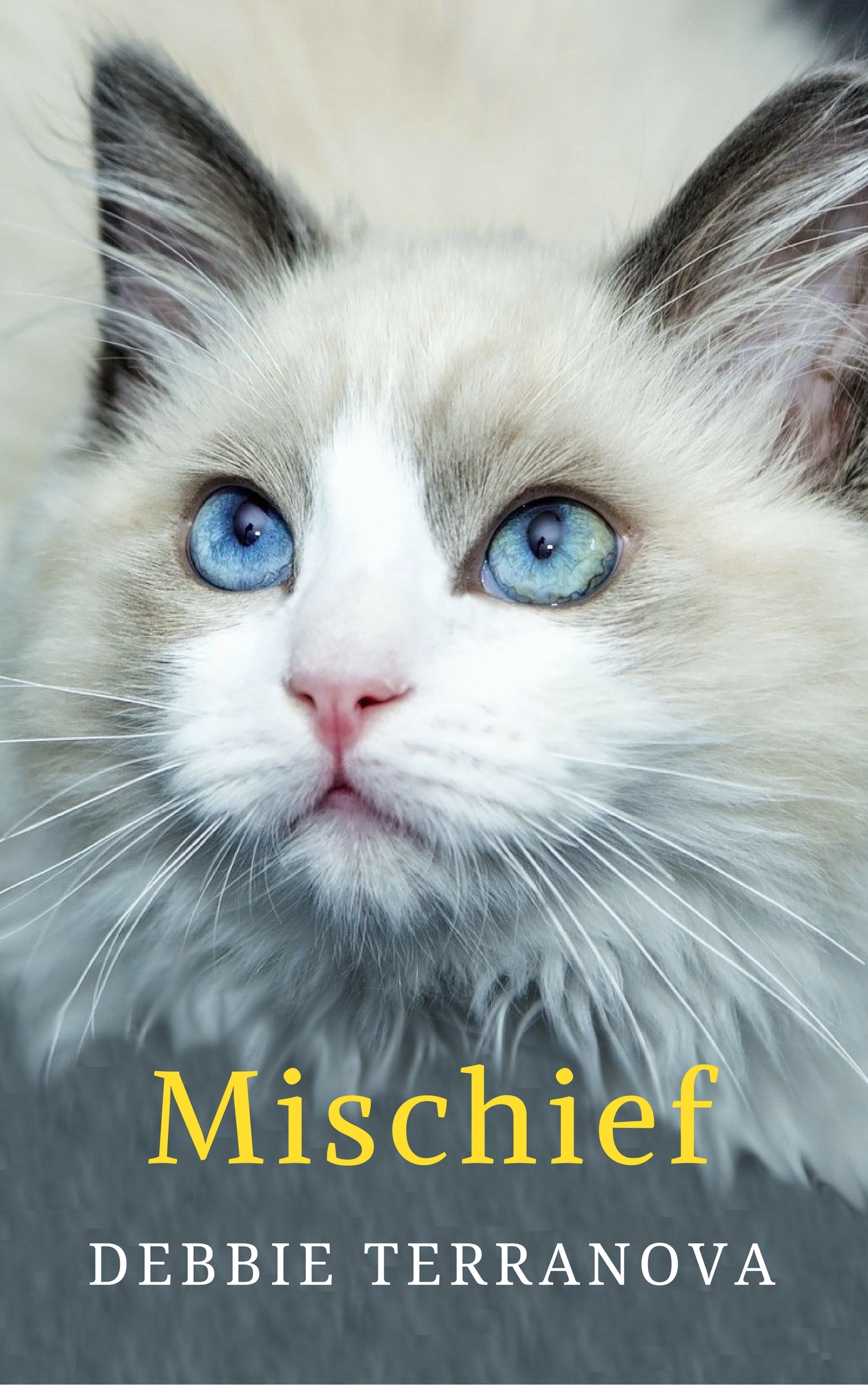 Mischief by Debbie Terranova | Goodreads