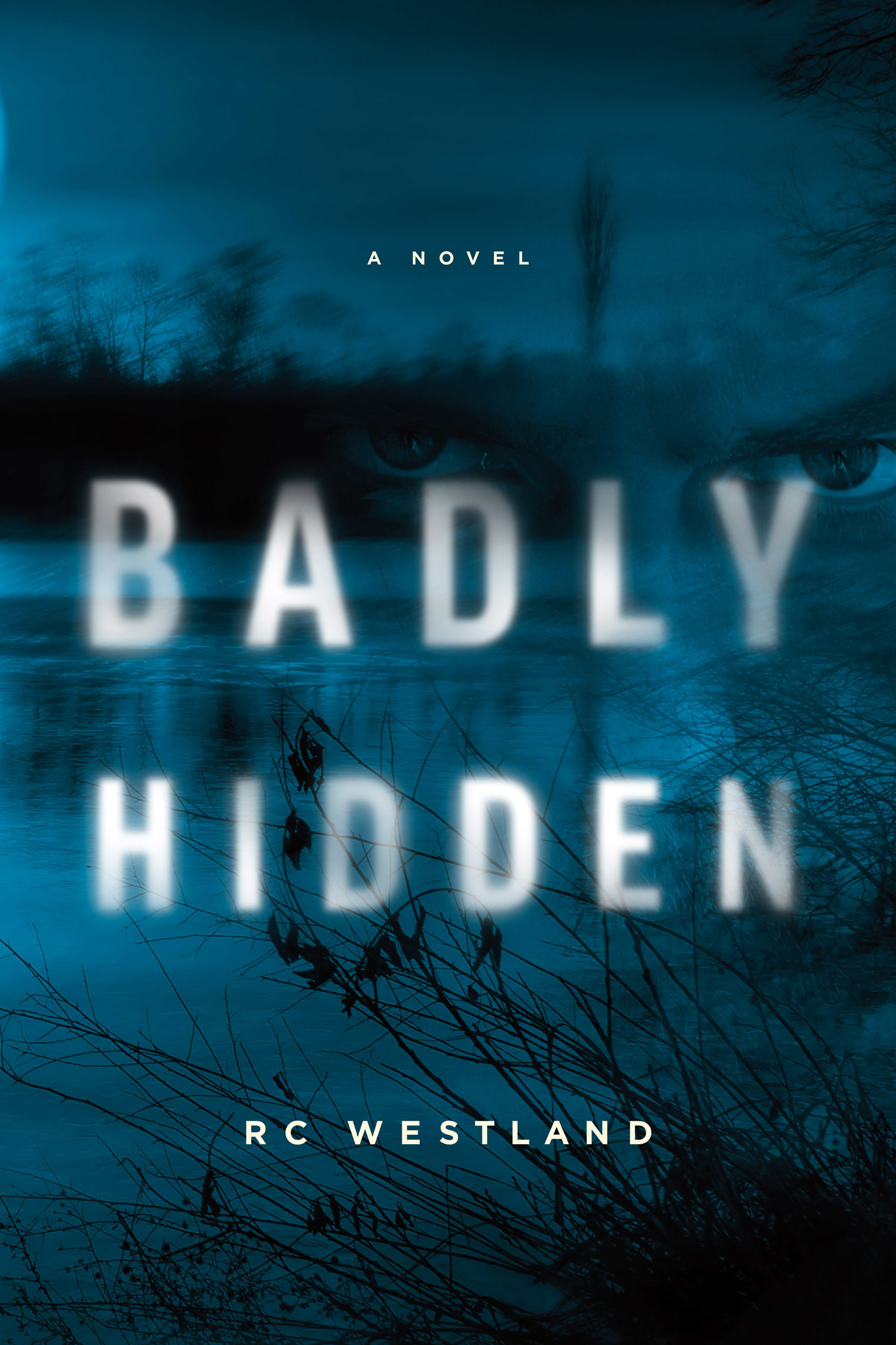 Badly Hidden by R.C. Westland | Goodreads