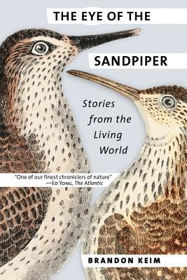 The Eye of the Sandpiper: Stories from the Living World by Brandon Keim ...