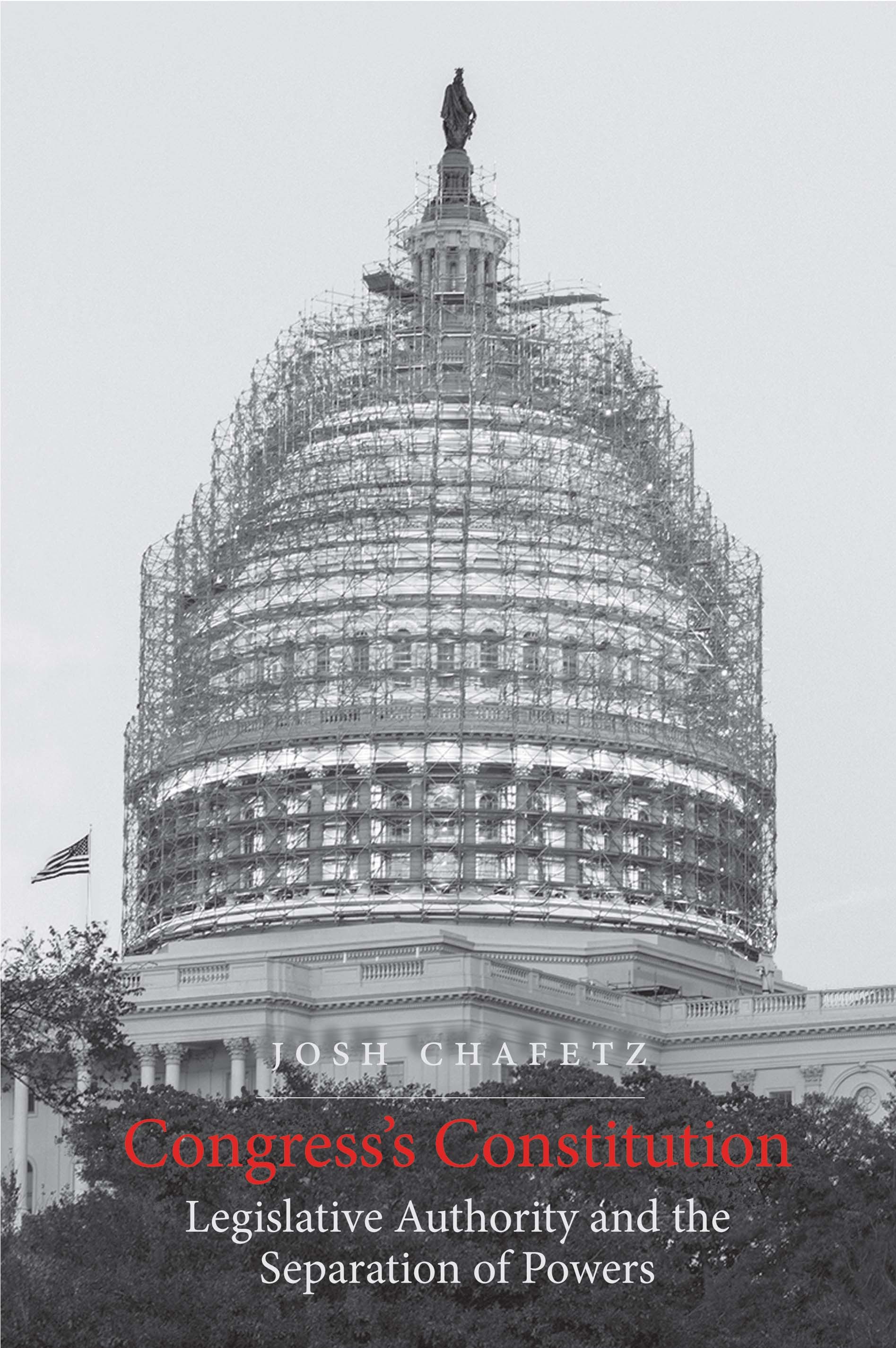 Congress's Constitution: Legislative Authority and the Separation of ...