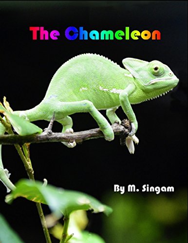 The Chameleon by M Singam | Goodreads