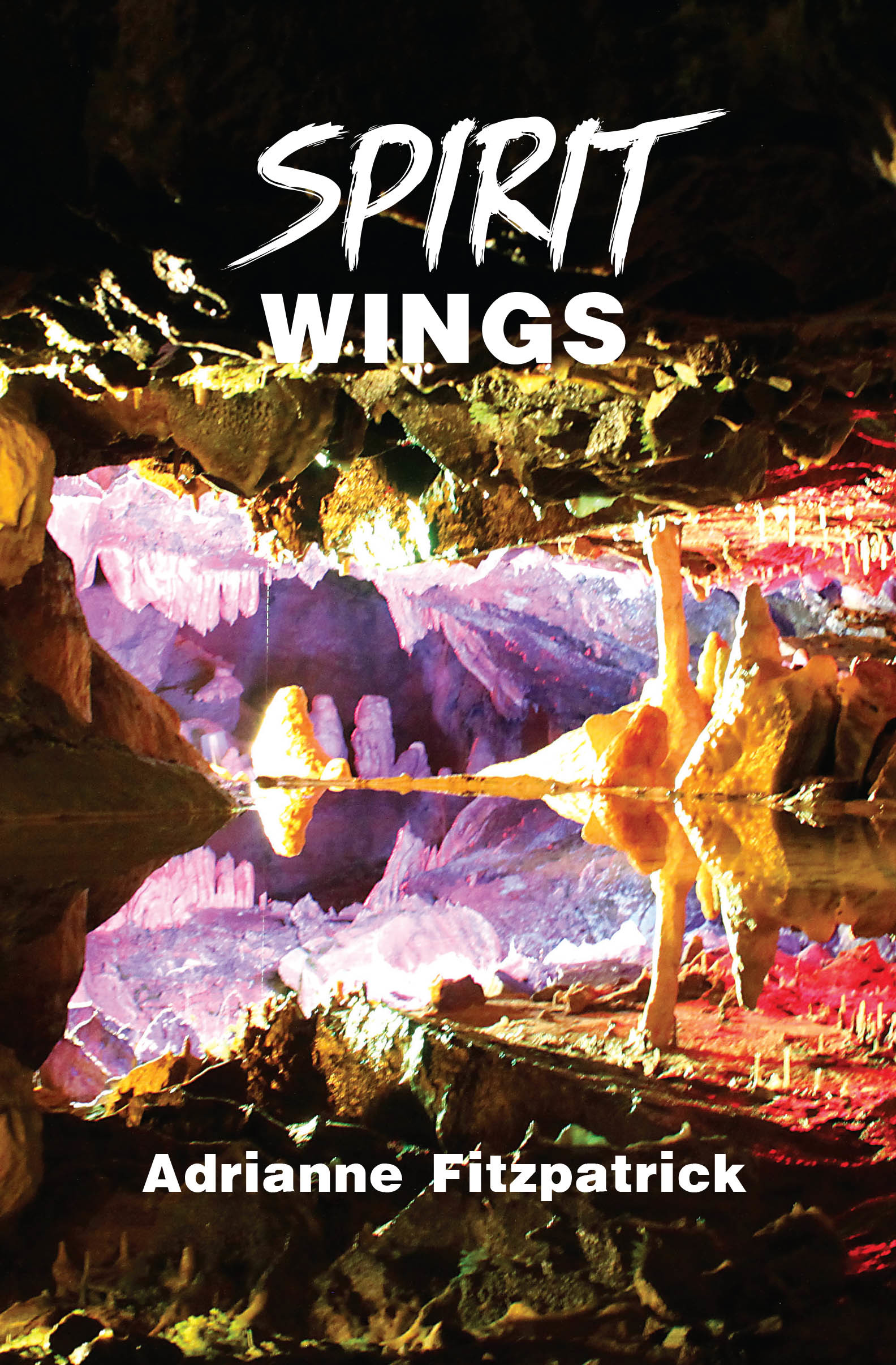 Spirit Wings by Adrianne Fitzpatrick | Goodreads