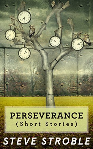 Perseverance (Short Stories): Christian fiction by Steve Stroble ...