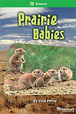 Prairie Babies Above Level Reader Grade 2: Teacher's Guide by Harcourt ...