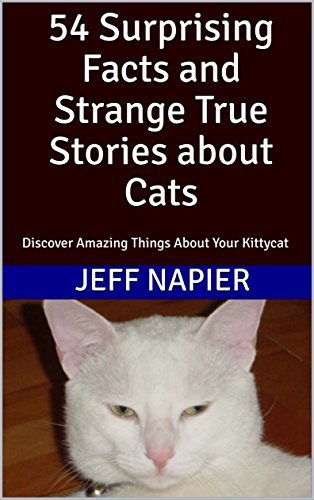 54 Surprising Facts and Strange True Stories about Cats: Discover ...
