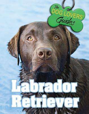Labrador Retriever (Dog Lover's Guides) by Ann Britton | Goodreads