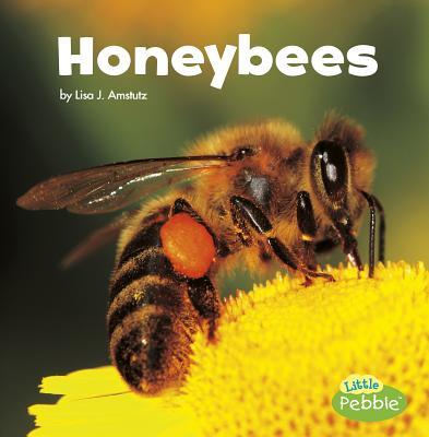 Honeybees (Little Critters) by Lisa J. Amstutz | Goodreads