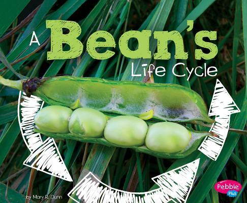 A Bean's Life Cycle (Explore Life Cycles) by Mary R. Dunn | Goodreads