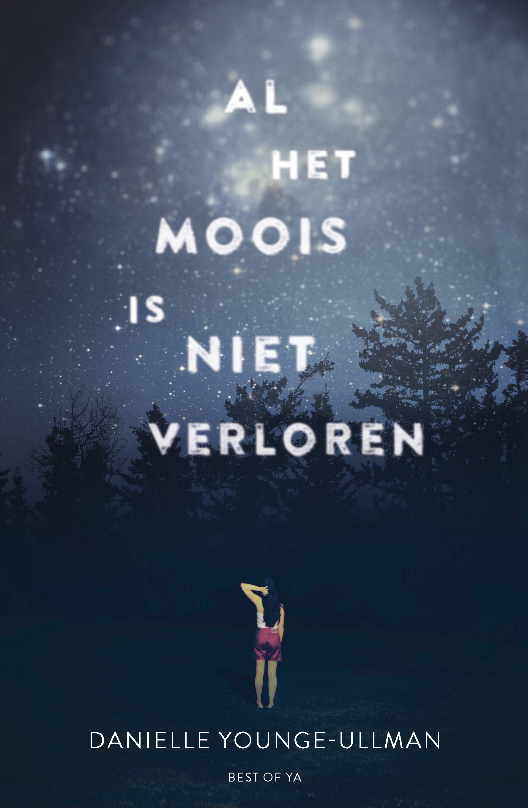Al het moois is niet verloren by Danielle Younge-Ullman | Goodreads