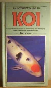 A Koi: Comprehensive Advice on Maintaining and Displaying These ...