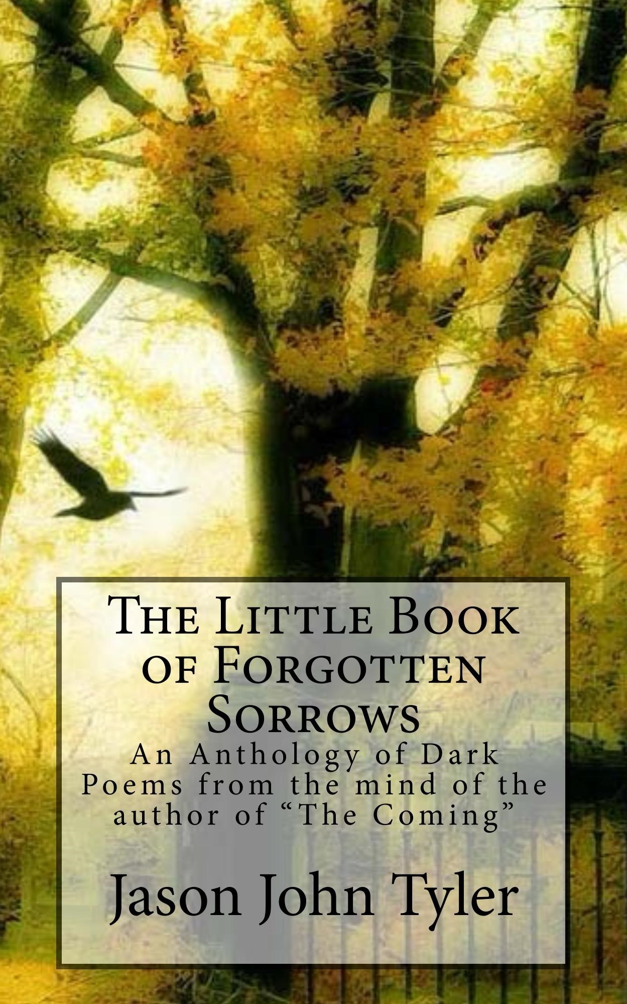 The Little Book of Forgotten Sorrows by Jason John Tyler | Goodreads