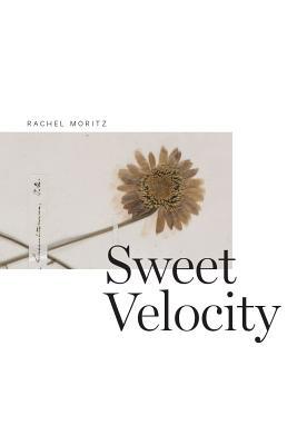 Sweet Velocity by Rachel Moritz | Goodreads