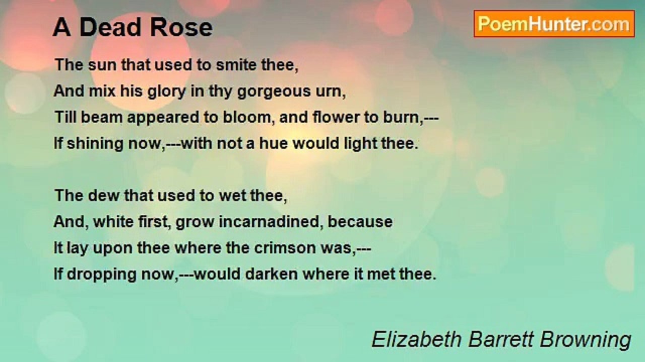 A Dead Rose (Poem) by Elizabeth Barrett Browning | Goodreads