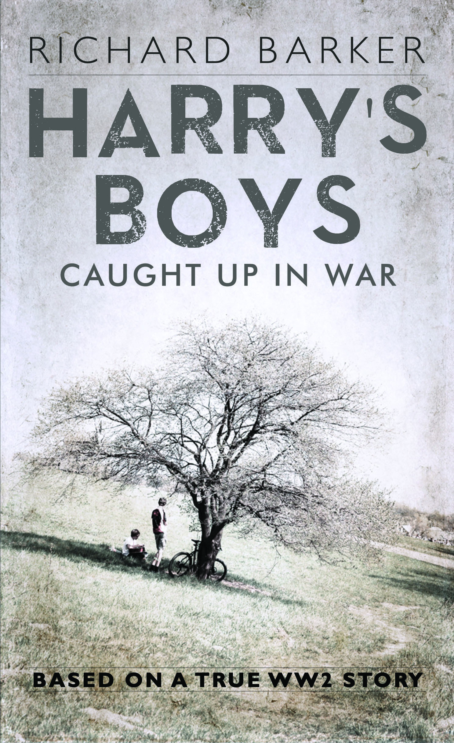 Harry's Boys by Richard Barker | Goodreads