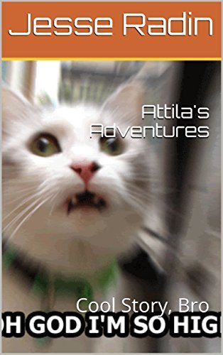 Attila's Adventures: Cool Story, Bro by Jesse Radin | Goodreads