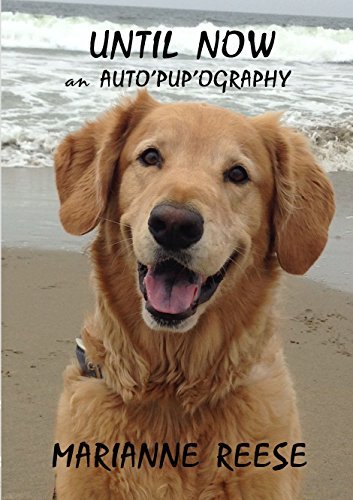 Until Now: An Auto'Pup'Ography by Marianne Reese | Goodreads