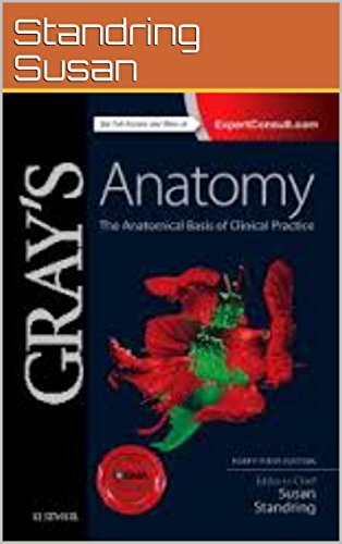 Gray's Anatomy: The Anatomical Basis of Clinical Practice by Standring ...