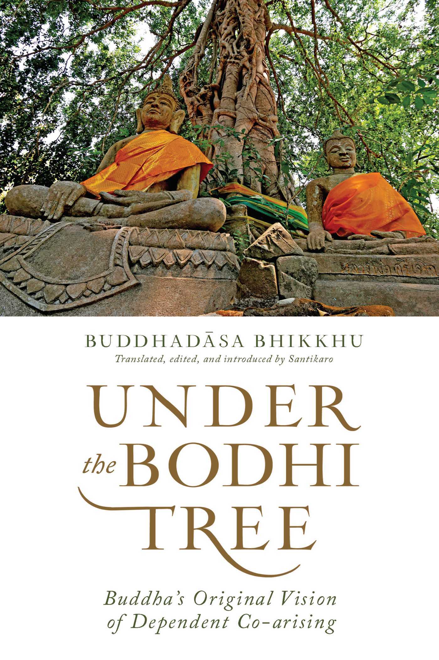 Under the Bodhi Tree: Buddha's Original Vision of Dependent Co-arising ...