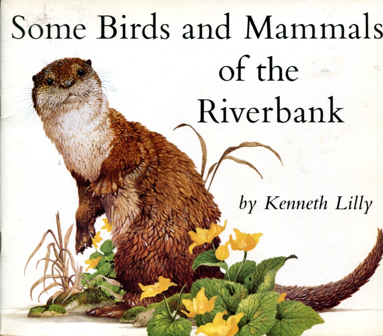 Some Birds and Mammals of the Riverbank by Kenneth Lilly | Goodreads