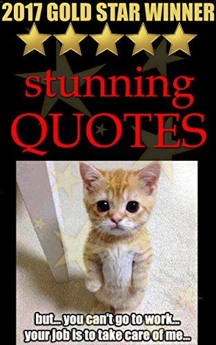 Memes: Best Funny Meme Quotes: 3000 Humorous Quotes and Sayings That ...