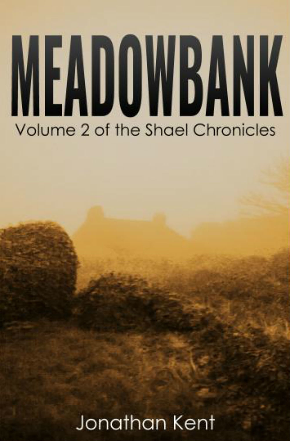 Meadowbank (The Shael Chronicles, #2) by Jonathan Kent | Goodreads