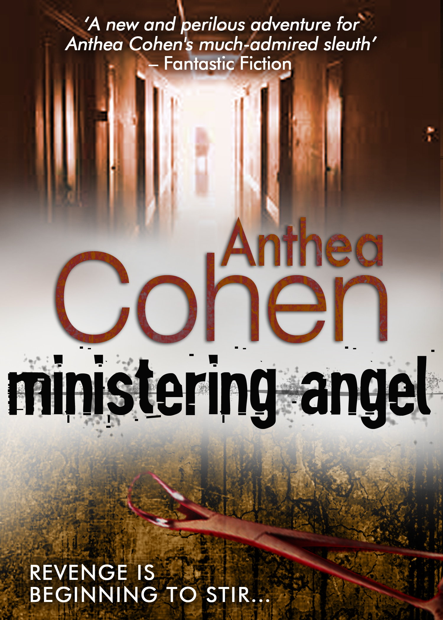 Ministering Angel (Agnes Carmichael, #7) by Anthea Cohen | Goodreads