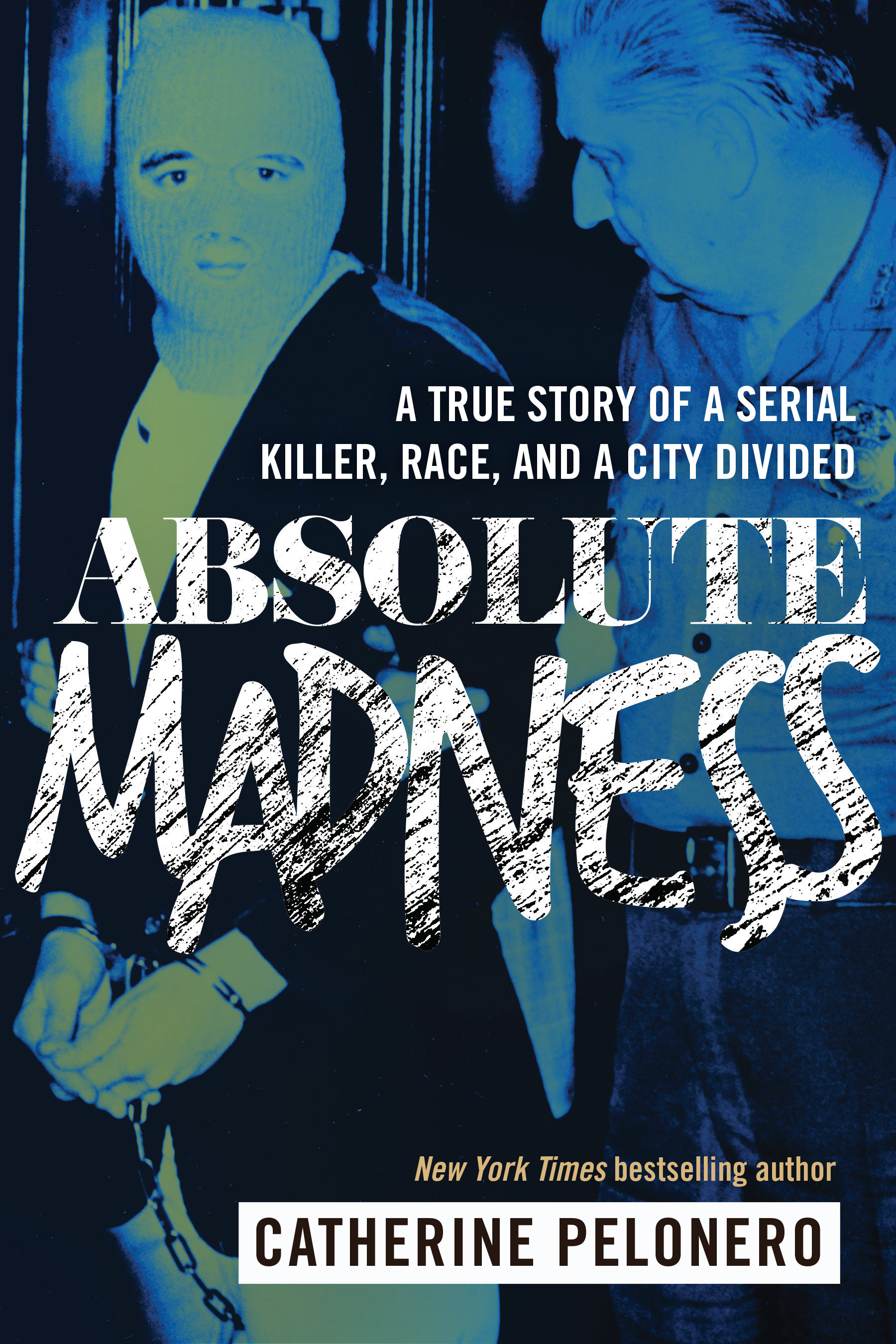 Absolute Madness: A True Story of a Serial Killer, Race, and a City ...