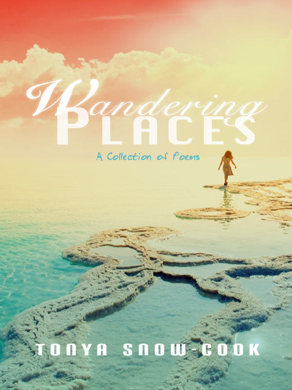 Wandering Places by Tonya Snow-Cook | Goodreads