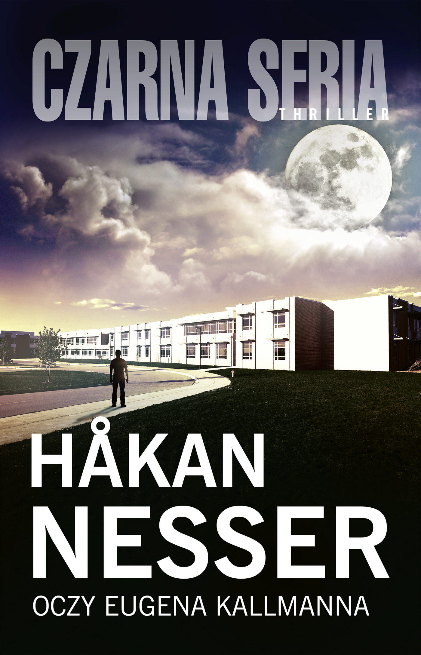 Oczy Eugena Kallmanna by Håkan Nesser | Goodreads