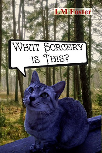 What Sorcery is This? by LM Foster | Goodreads