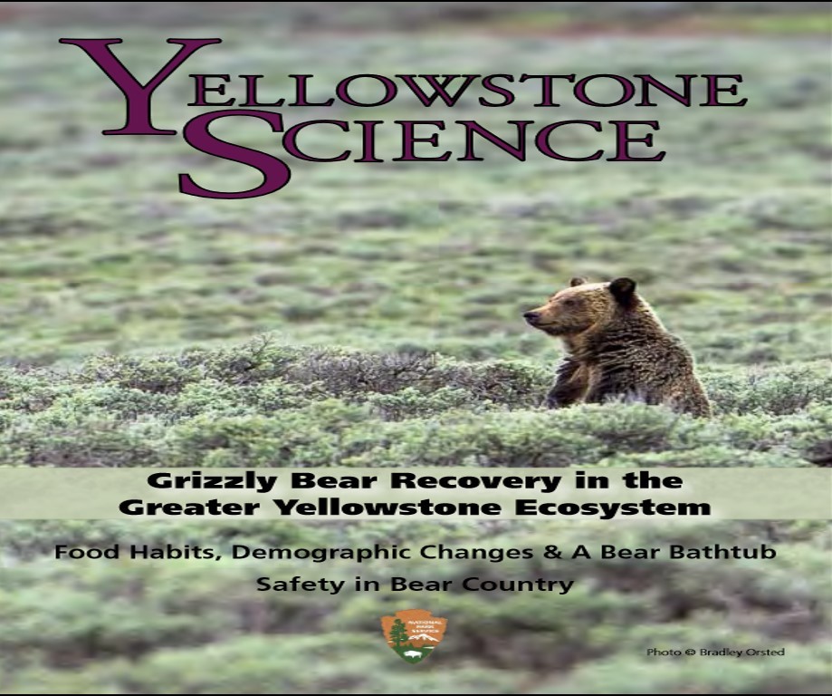 Yellowstone Science: Grizzly Recovery in the Greater Yellowstone ...