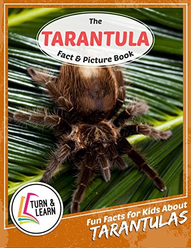 The Tarantula Fact and Picture Book: Fun Facts for Kids About Tarantulas by Gina McIntyre ...