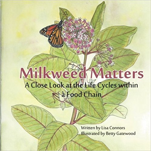 Milkweed Matters: A Close Look at the Life Cycles within a Food Chain ...