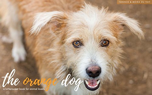 The Orange Dog: A bittersweet book for animal lovers (Children's Dog ...