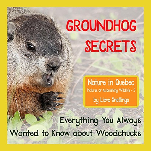 Groundhog Secrets: Everything You Always Wanted to Know about ...